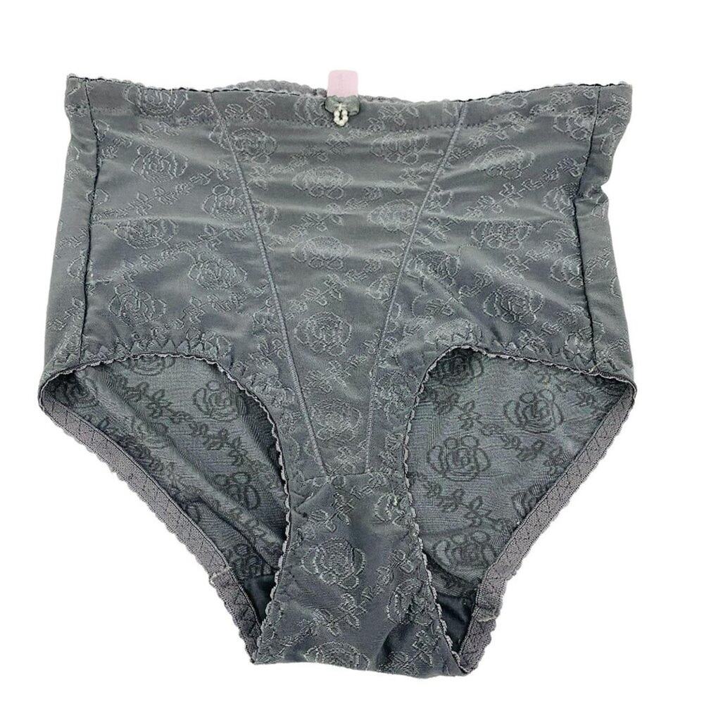 Heavenly Shapewear Control Brief Panty Grey Size 1x - Gem